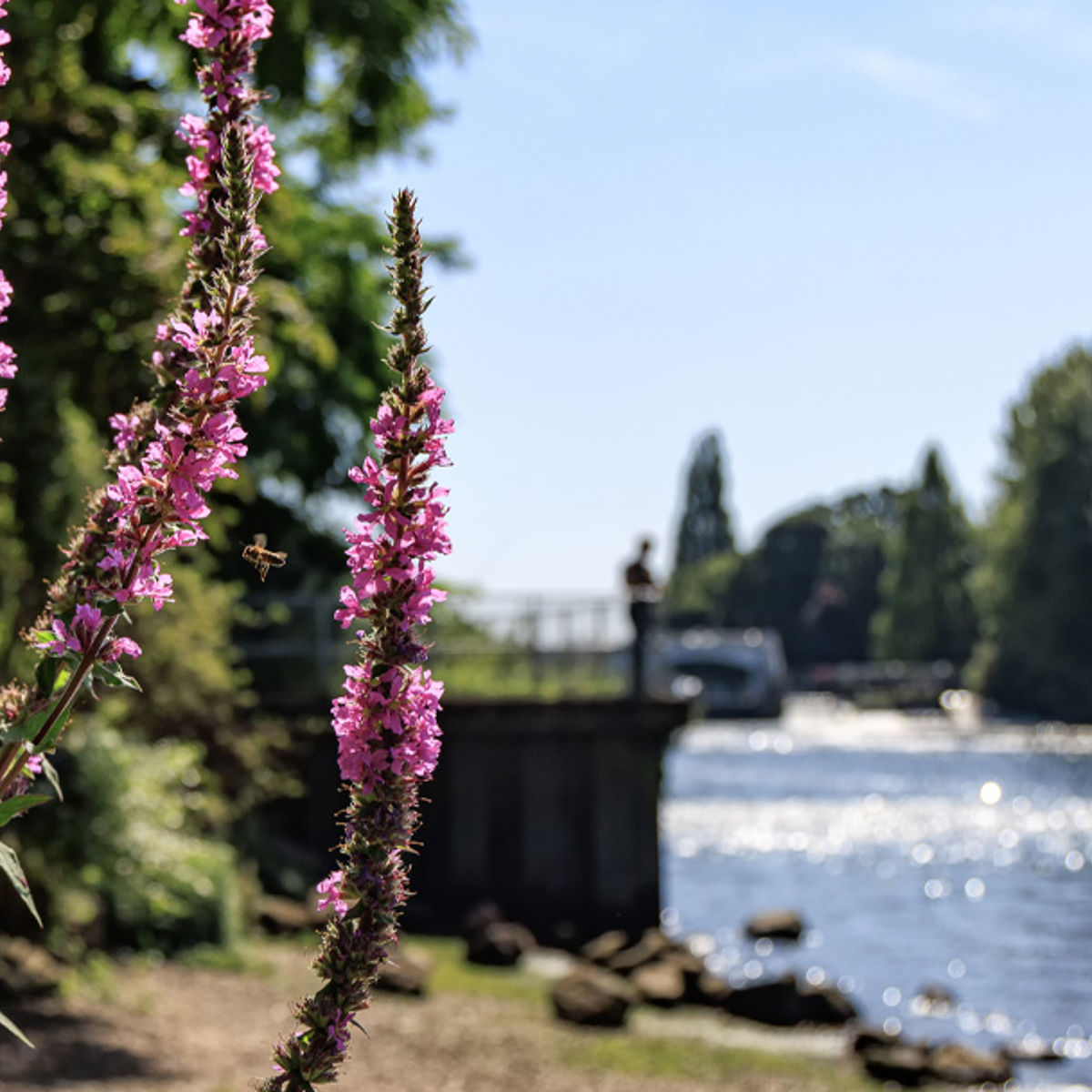 Contact us - Thames Water Strategic Resource Options