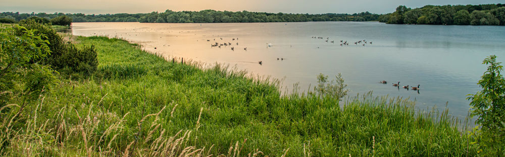 Water transfer projects - Thames Water Strategic Resource Options