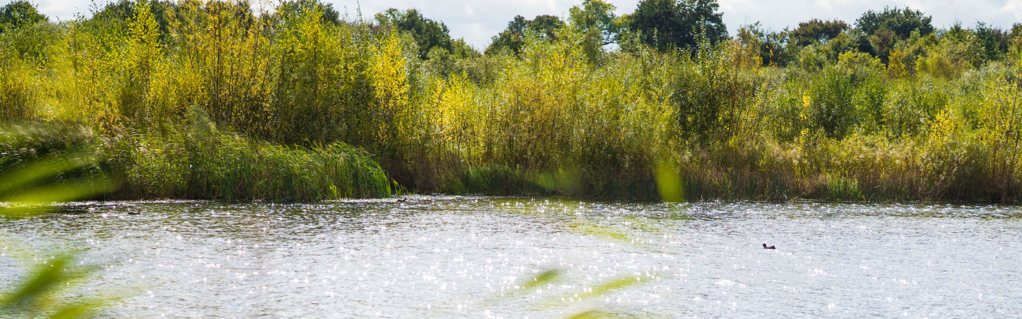 About us - Thames Water Strategic Resource Options